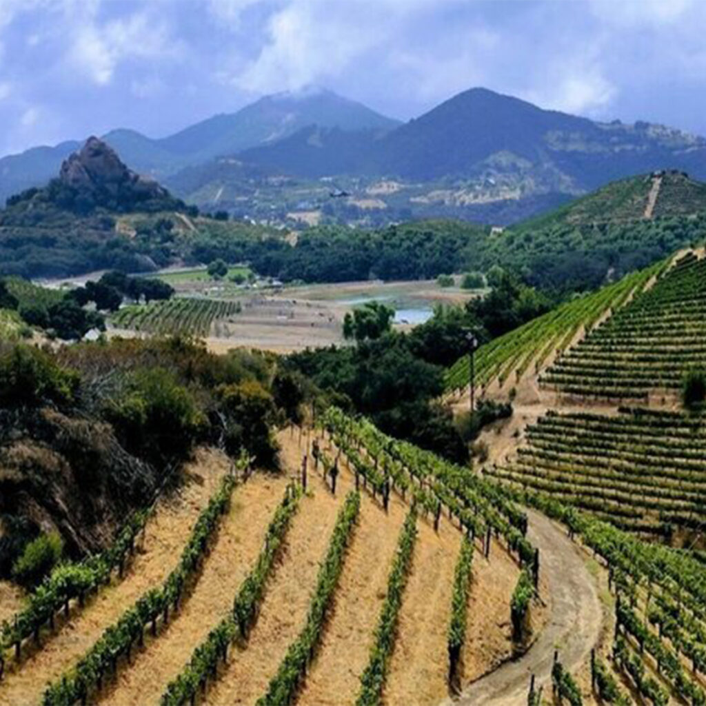 The Ranches of Malibu - Malibu Beach Inn