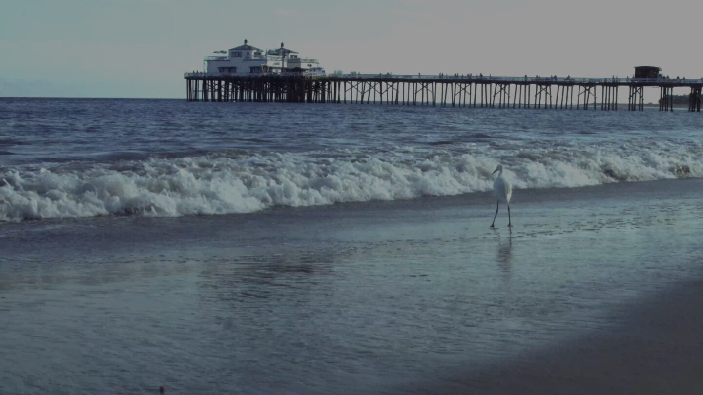 Luxury Malibu Beach Hotel | Malibu Beach Inn